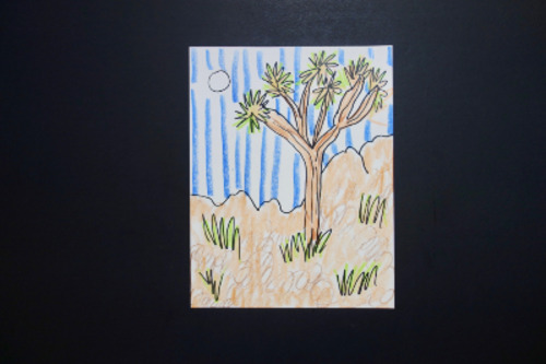 how to draw a joshua tree