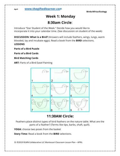 Montessori Lesson Plans Fully Written Birds Africa Ecology Themes APRIL