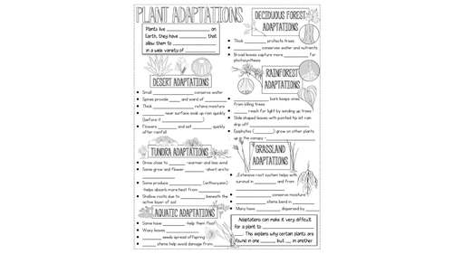 Plant Adaptations Doodle Notes & Quiz | Visual Life Science Activity