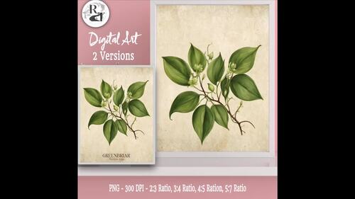 Vintage Style Wildflower Botanical Illustration Print, Botanical ...