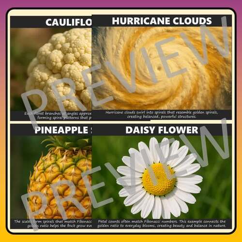 Golden Ratio in Nature | 40 Math Classroom Posters with Real-World Examples