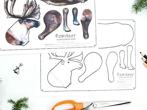 Reindeer | Jointed Animal Craft | Articulated Craft | Caribou | TPT