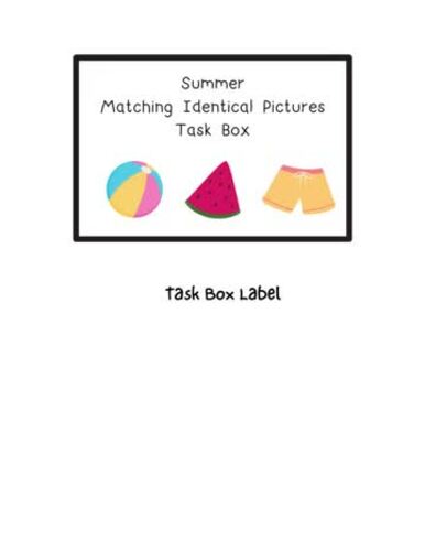 SUMMER AND BEACH Matching Identical Pictures Task Box by Pre-K Life