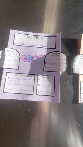 Food Borne Illness Project handout by Tearney McGivney | TPT