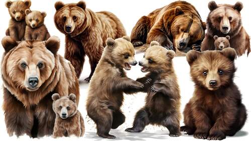 Watercolor Brown Bears Clipart Set of 20 Files by ArtisticTimberStudio