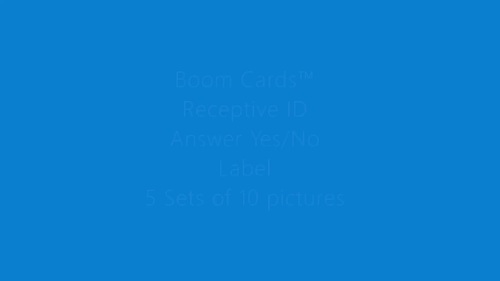 Labels pictures of common nouns DIGITAL | Expressive Language | ABLLS G4