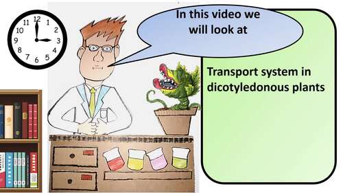 AP Biology Transport Systems in Plants Lesson & Activities | TPT