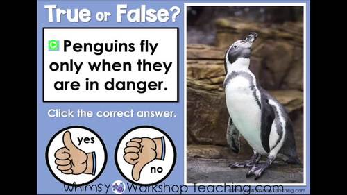 Boom Cards True False Nonfiction Animal Facts Penguins Science | TpT