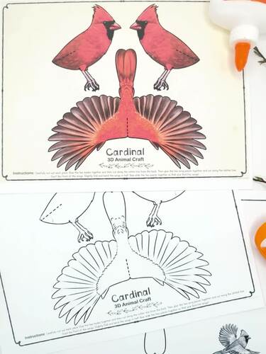 Cardinal | 3D Paper Bird| Printable Animal Craft | Cardinals | TPT