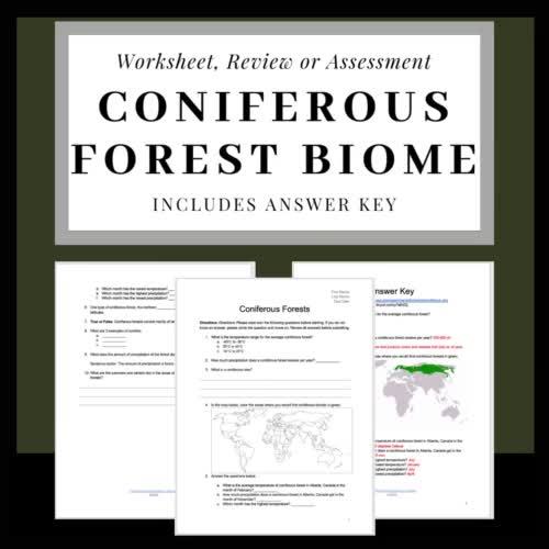 Coniferous Forest Biome: Worksheet, Warm Up/Exit Ticket or Assessment