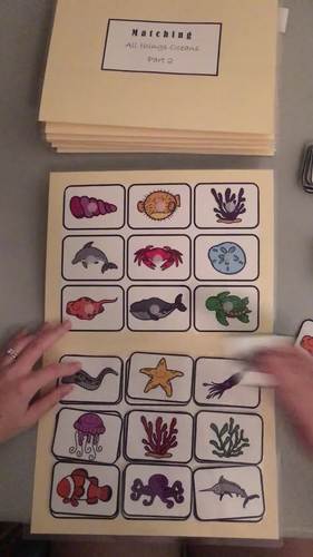 Basic File Folder Matching and Sorting: Ocean by Uniquely Special Education