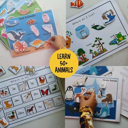 Animals Learning Bundle, Preschool curriculum, Animals shadow match ...
