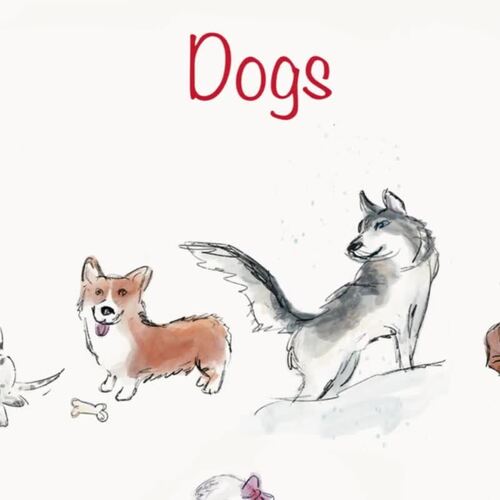 Dogs Breeds Poster- Hand-drawn Illustrations / Classroom Decor | TPT