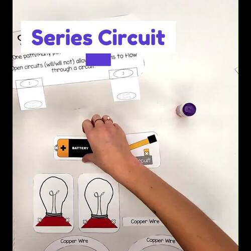 Series and Parallel Circuits Electricity Project (Review, End of Unit, PBL)