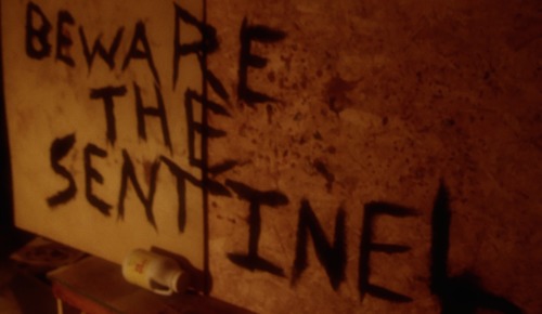 Duffy's Jacket - Visual Reading by 1-to-1 Lit | TPT