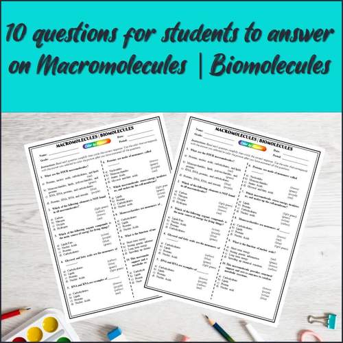 Macromolecules Christmas Color by Number | Christmas Science Activity