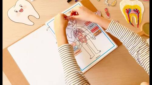 Human Anatomy Busy Book / Human Body Homeschool Toddler Activities
