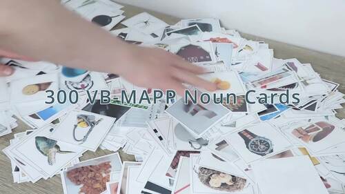 VB-MAPP 300 Common Noun Cards with Real Photos. Three Examples of Every ...