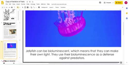 Variation of Traits No Prep Science Packet | 3rd Grade Science + ELA