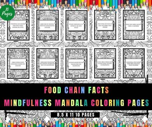 Food Chain Facts Activity Sayings, Mindfulness Mandala Coloring Pages ...