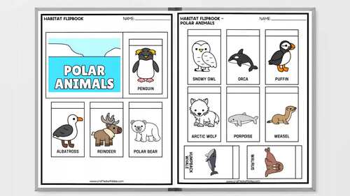 Animal Habitat Flipbook Kindergarten by Crafted with Bliss by Teacher Pia