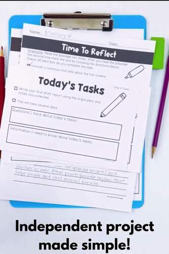 Ocean Animal Research Project Report Writing End of Year Independent ...