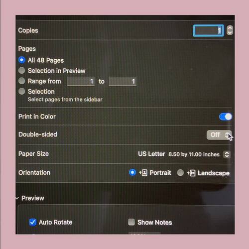 Spring Break Journal Printable by Cozy Bugz | TPT