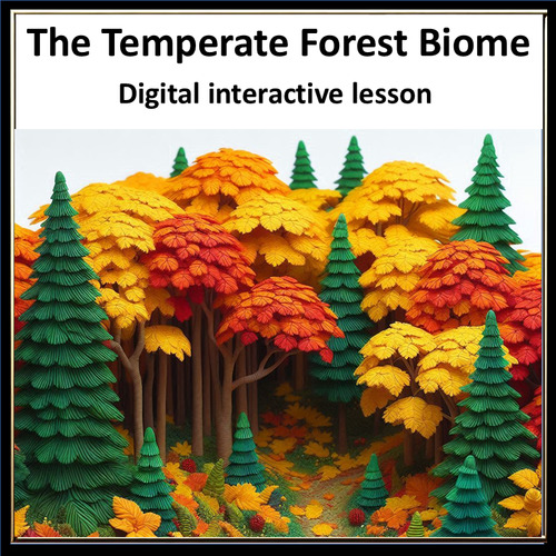 Temperate Forest Biome | Digital Resource for Exploring Forest Ecosystems