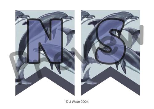 Animal Research Project | Ocean & Dolphin Fact Sheet | Coloring Worksheets