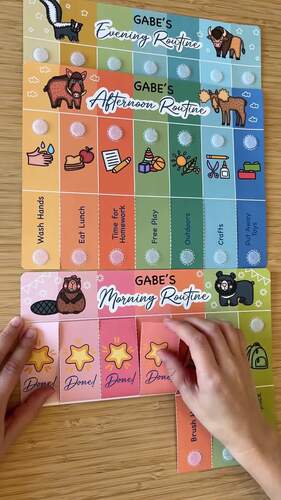 Editable Morning, Afternoon, Evening Routine Chore Chart | Daily Visual ...
