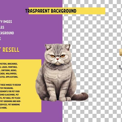 30 Bundle British Shorthair Clipart | Cute Cats | Puppy | Animal | Cats ...