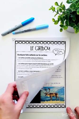 Arctic Animals Series: French Nonfiction Reading Comprehension Set - Le ...