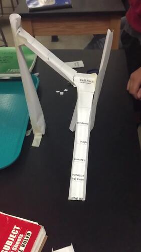 End of Year-Middle School Science! Marble Ramp STEM Challenge *Low-Prep*