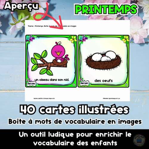 Printemps. Boîte à mots de vocabulaire en images | TPT