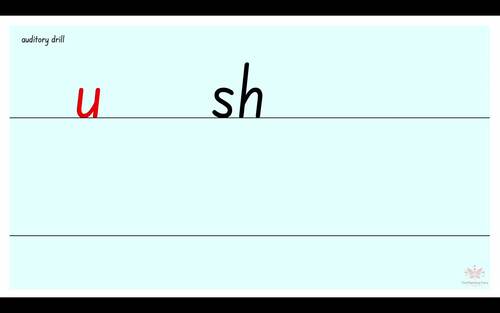 5 x Dictation Lessons: Set 21- ow (snow) words and sentences- NO PRINT!
