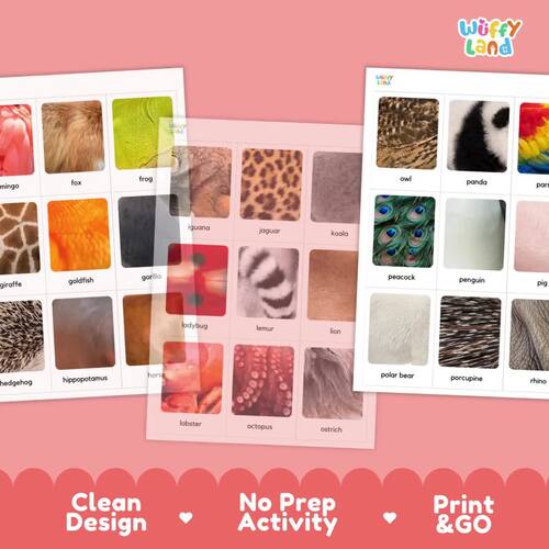 Animal Skin Flashcards | Animal Patterns & Textures Science Nature Study