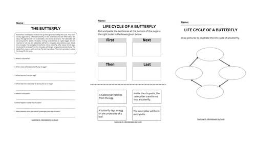 BUTTERFLY LIFE CYCLE - Reading Comprehension Passage, Craft, Coloring Sheet