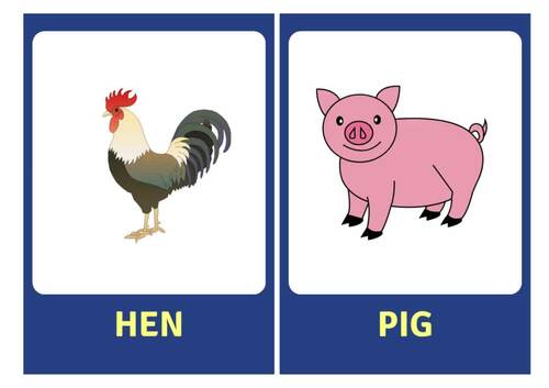 Science Farm Animals Flashcard Simple Style by DISIGNER POFESSIONAL