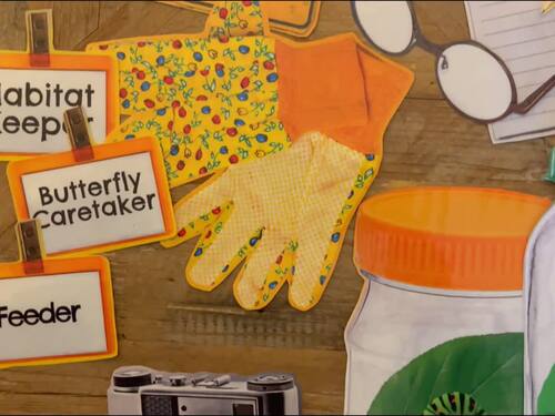 Butterfly Nursery Dramatic Play Preschool Science Activity Life Cycle ...