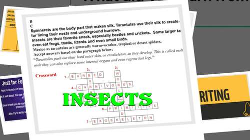 Insects Nonfiction Reading Passages and Comprehension Questions PowerPoints