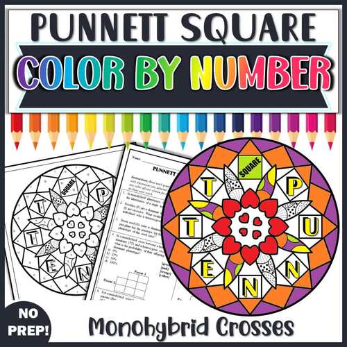 Monohybrid Punnett Squares Color by Number | Biology Review Worksheet ...