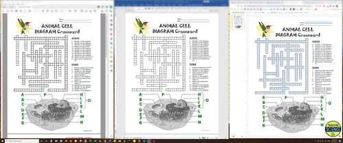 Animal Cell Crossword with Diagram | Printable & Distance Learning Options