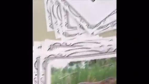 Dimorphism- Male Female Animal Differences that Affect Reproductive ...