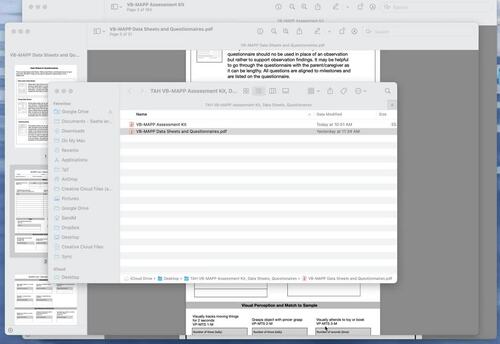 VB-MAPP Assessment Kit by The Autism Helper | TPT