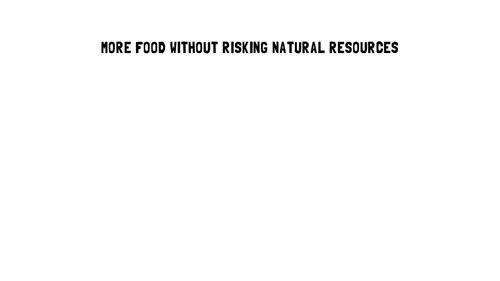 Preventing Food Shortages | Video Lesson, Handout, Worksheet | Environment