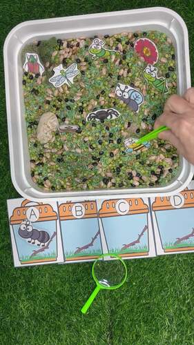 BUGS A to Z Initial Sound Task Box Activity + Letter Recognition ...