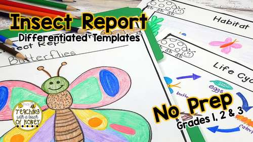 Bugs & Insects Activities: Habitat Report Printable & Digital For ...