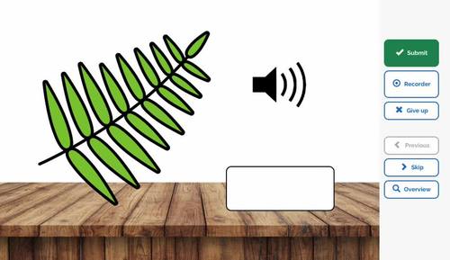 RN Ending Listen and Spell Reading Task Cards, English Language Centers