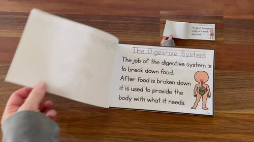 Digestive System Mini Reader Set Human Body Digestive System Books