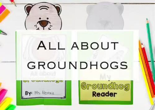 All about Groundhogs | Groundhog Life Cycle Craft by Ms Herraiz | TPT